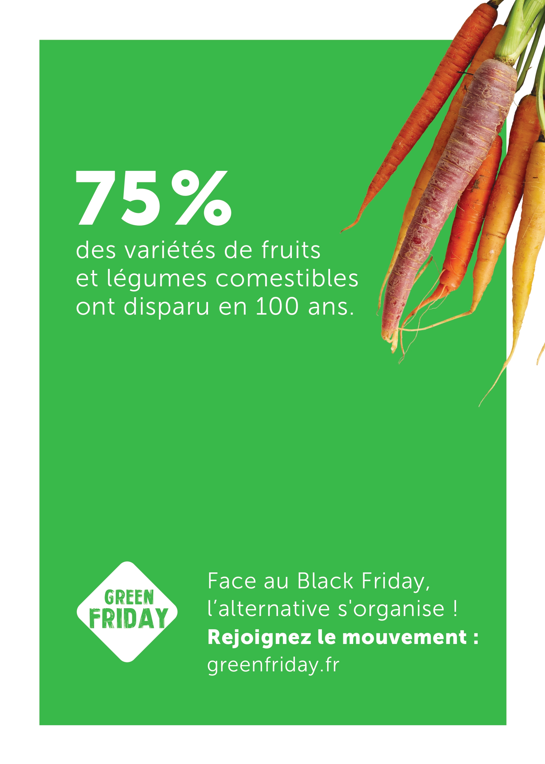 Le Green Friday est de retour le 29 novembre - Réseau ENVIE